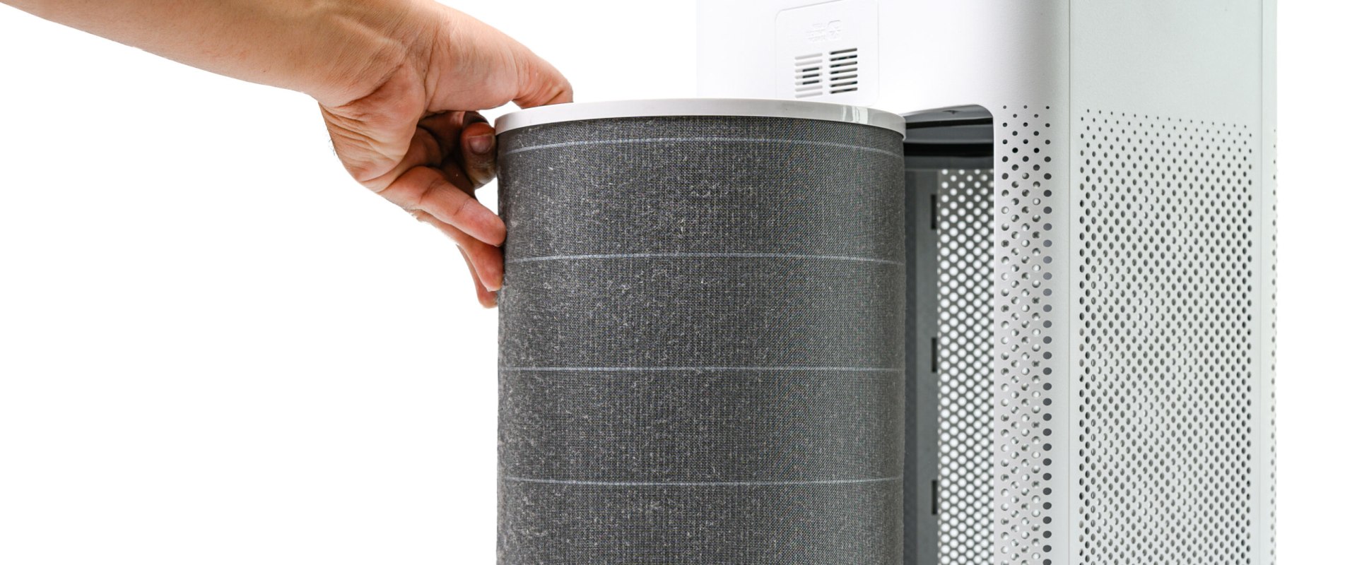 The Best Air Filters for Allergy Sufferers